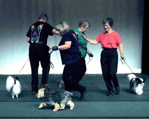 Canine Freestyle - Dog Obedience Club of Daytona Beach